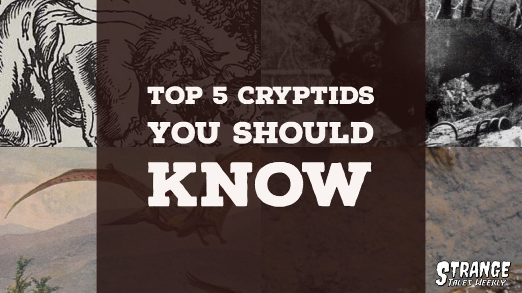 Cryptids TN (1) | Strange Tales Weekly